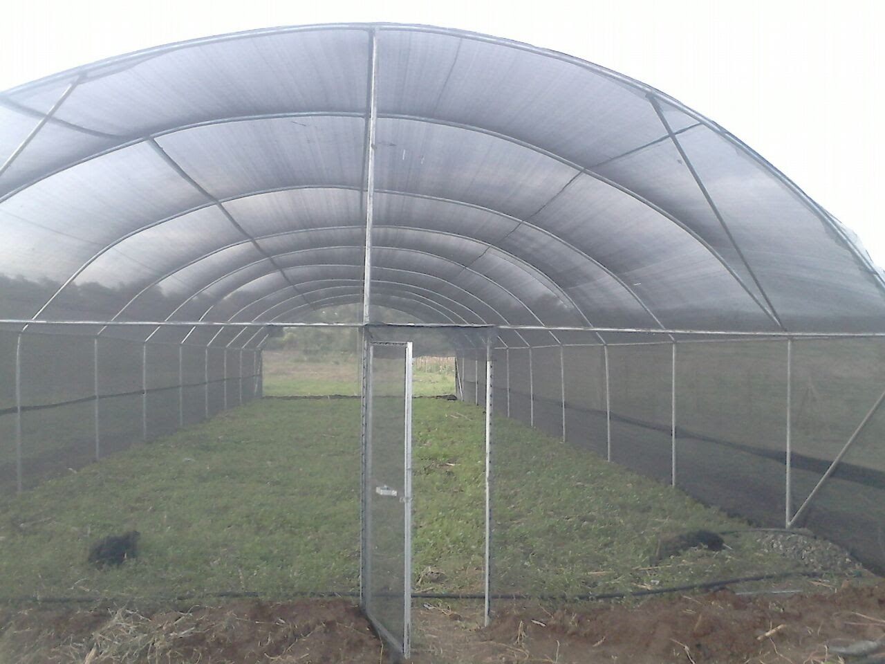 Shade Net Farming – aceagriculture.co.ke